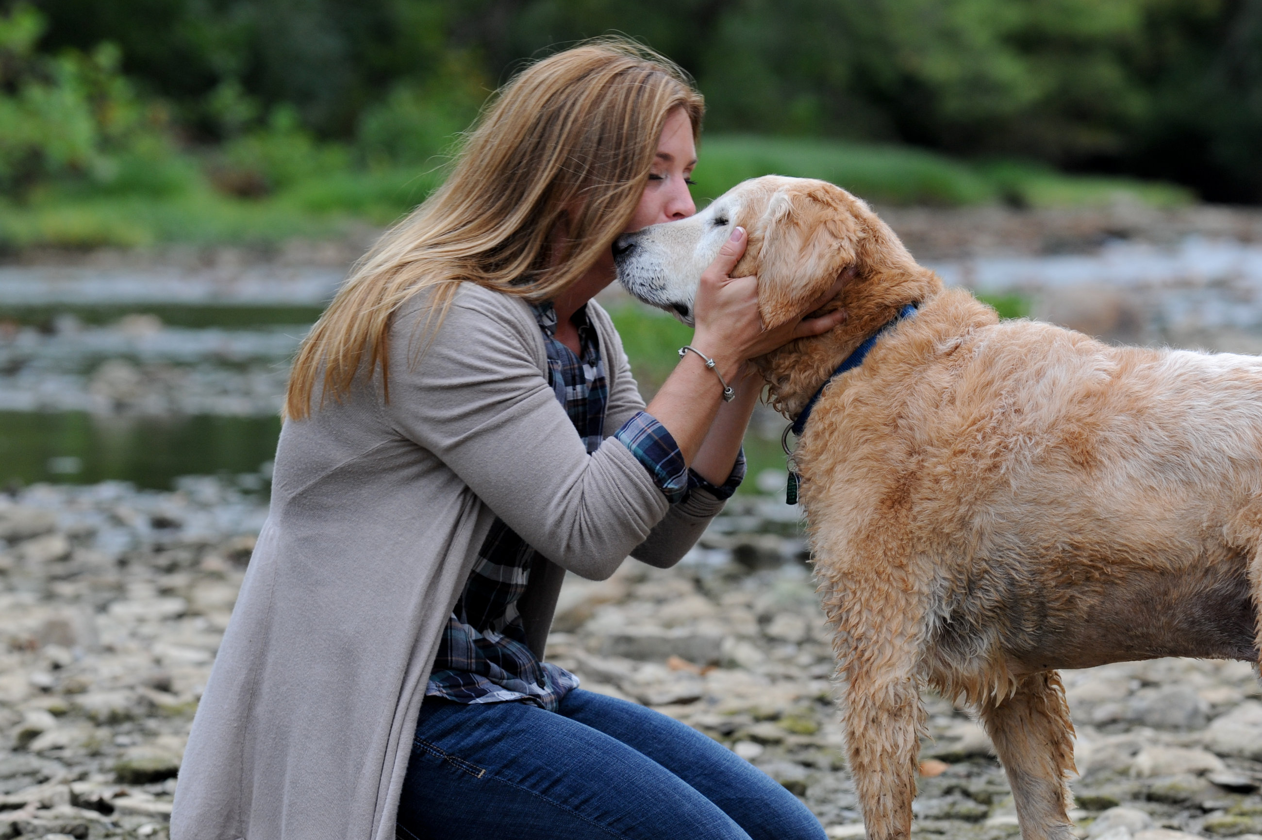Celebrating Life: End-of-life photo sessions for your beloved dog