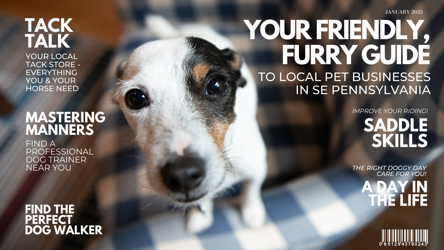 Your Friendly, Furry Guide to Local Pet Businesses