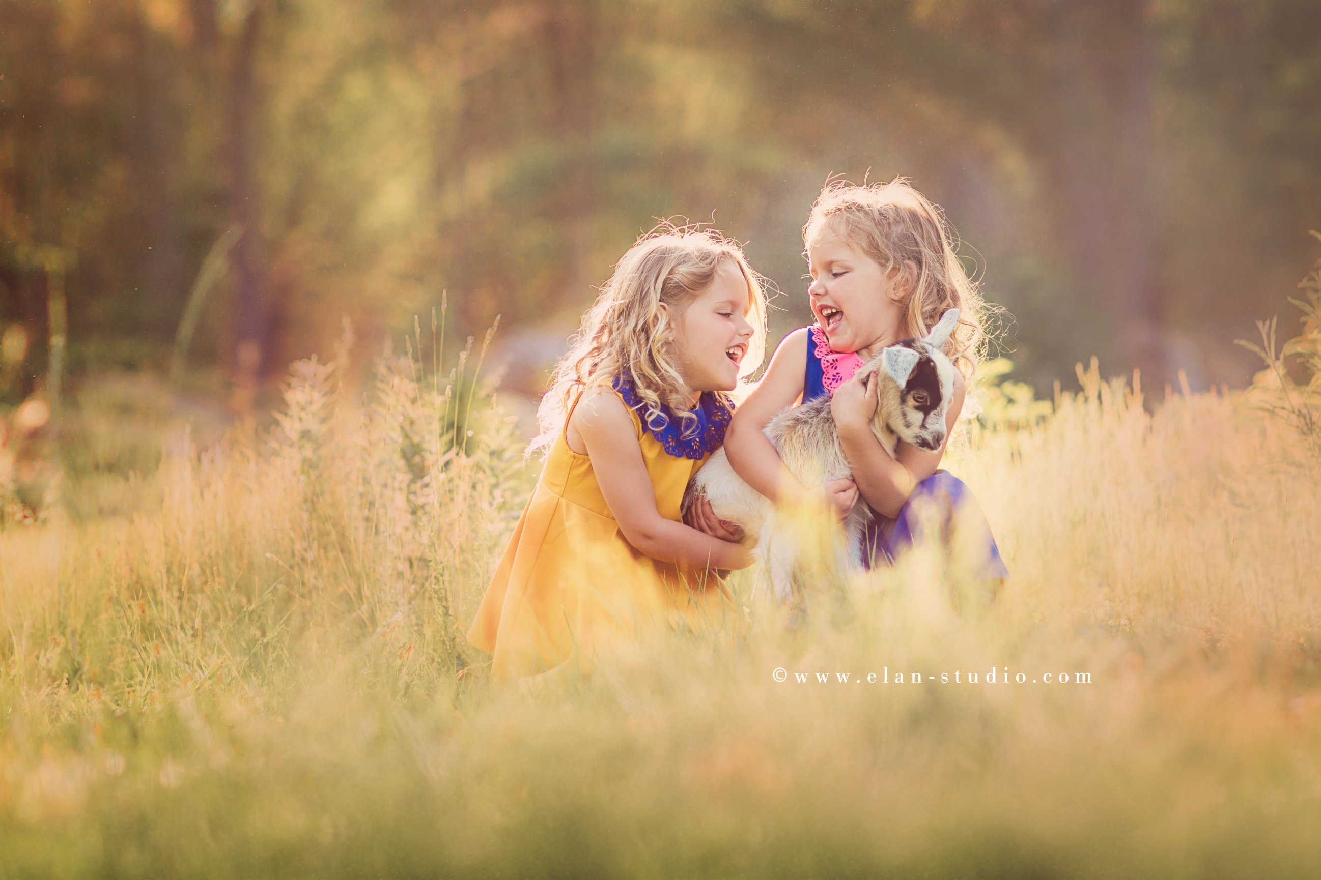 Sibling & Family Portrait & Photography Gallery | Elan Studio