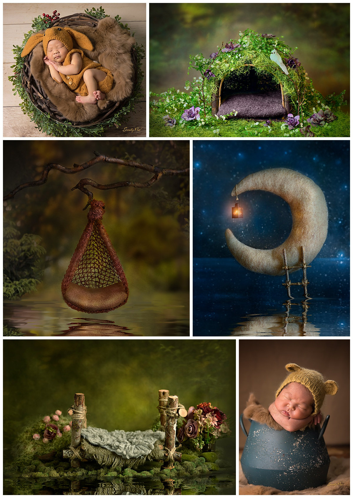 Sweet Peas- Newborn Models Wanted - Sandy Puc Photography