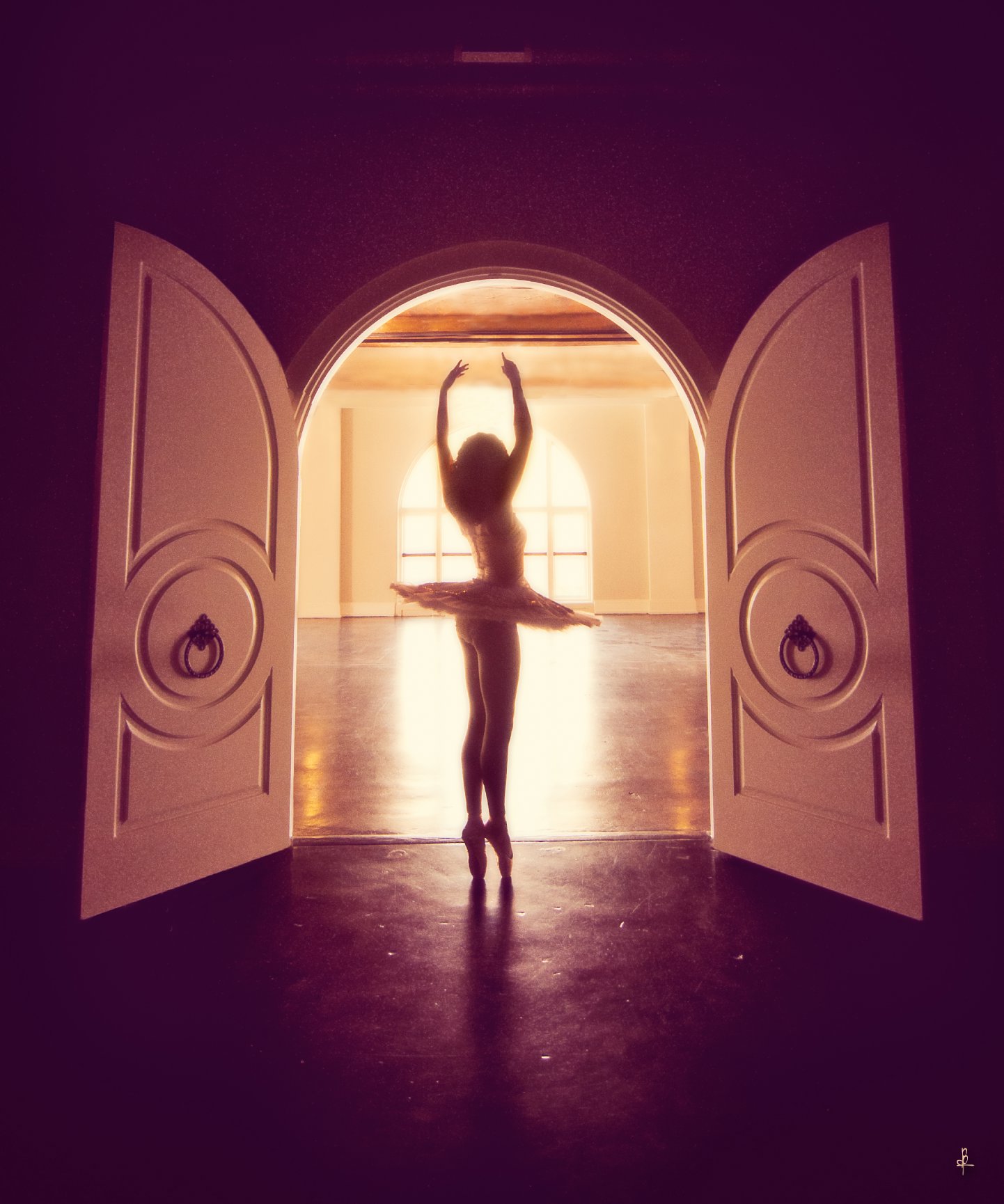 Home - Picture Perfect Photography